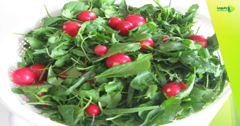 سبزی خوردن چیست| راهنمای جامع خواص و ویتامین ها، انواع، طبع سبزی خوردن ...