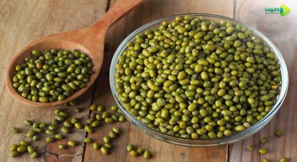 ماش چیست | پیشینه، خواص، طبع، ترکیبات، ویتامین ها و عوارض - دانوما