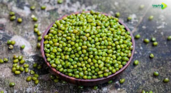 ماش چیست | پیشینه، خواص، طبع، ترکیبات، ویتامین ها و عوارض - دانوما